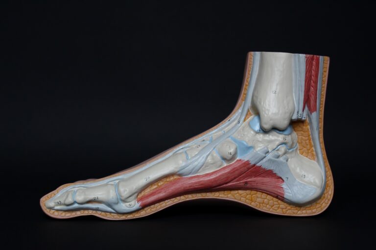 What Are the Differences Between a Tendon and a Ligament? - Hand and ...